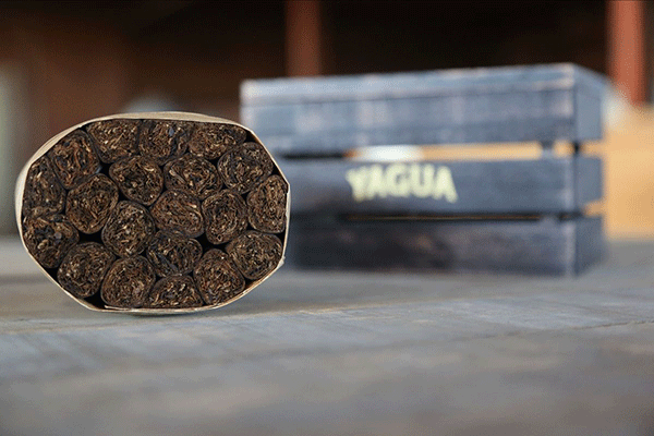 Cigar News: J.C. Newman Cigar Co. Ships First 2023 Release of Yagua ...